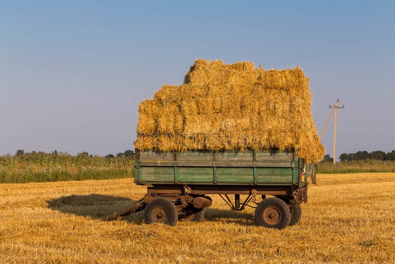 Straw Hay Bales on a Trailer Stock Photo - Image of agriculture, food ...