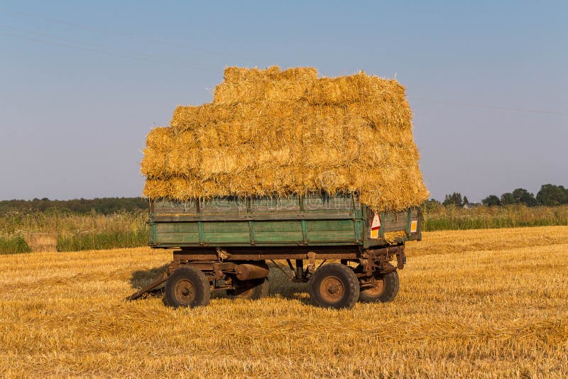 Straw Hay Bales on a Trailer Stock Photo - Image of equipment, outside ...