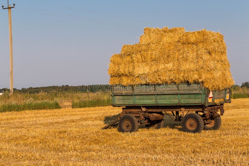 Straw Hay Bales on a Trailer Stock Image - Image of cultivated ...