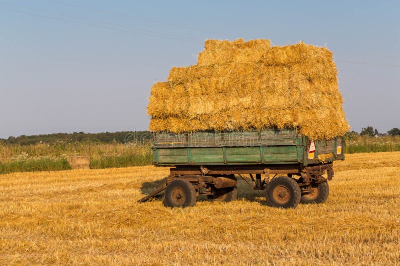 Straw Hay Bales on a Trailer Stock Image - Image of crop, farm: 274309219