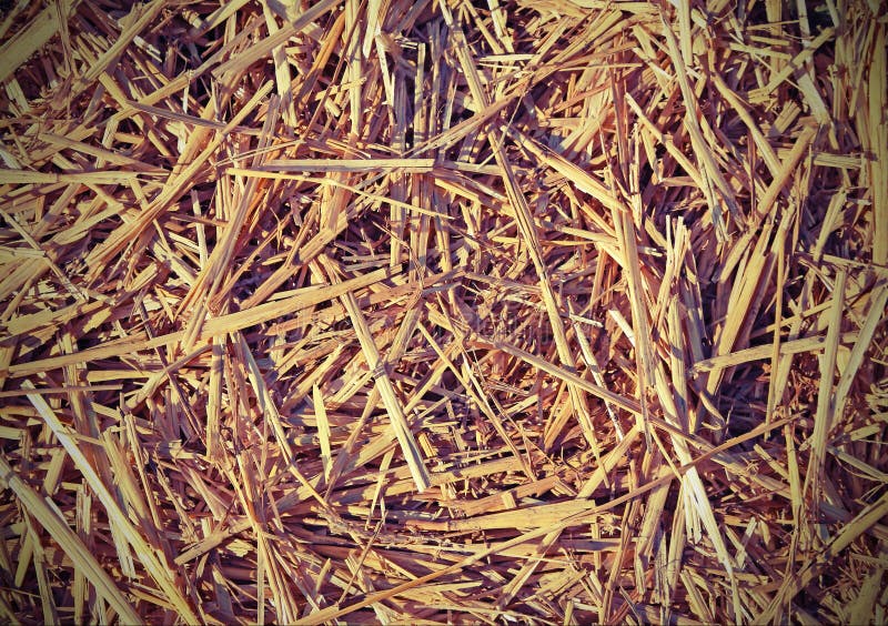 Straw and Hay in the Stable with Vintage Toned Effect Stock Photo ...
