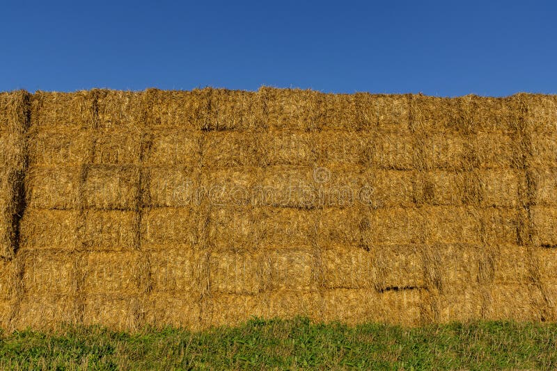 Straw or Hay Stacked in a Field after Harvesting in the Sunset Light ...