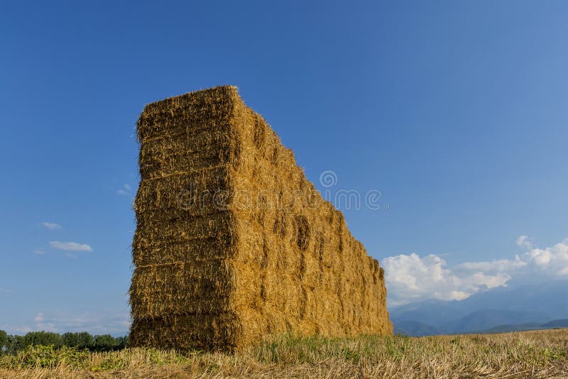 Straw or Hay Stacked in a Field after Harvesting in the Sunset Light ...
