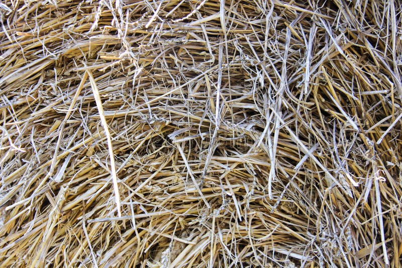 Cluster straw, truss straw stock image. Image of background - 90117577