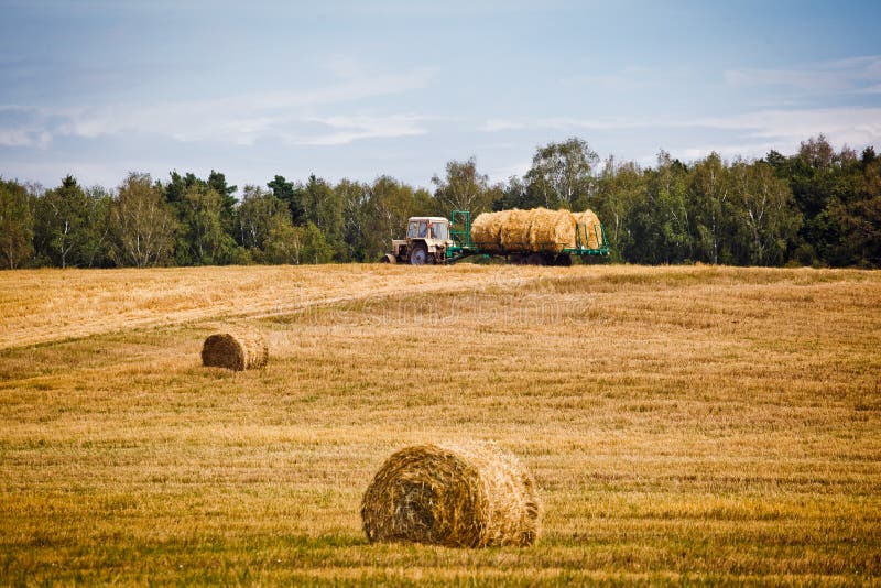 Straw Haystacks stock photo. Image of fall, harvest, farm - 26375914