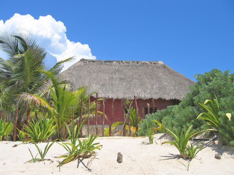 Straw Hut near the ocean stock photo. Image of plants - 2224744