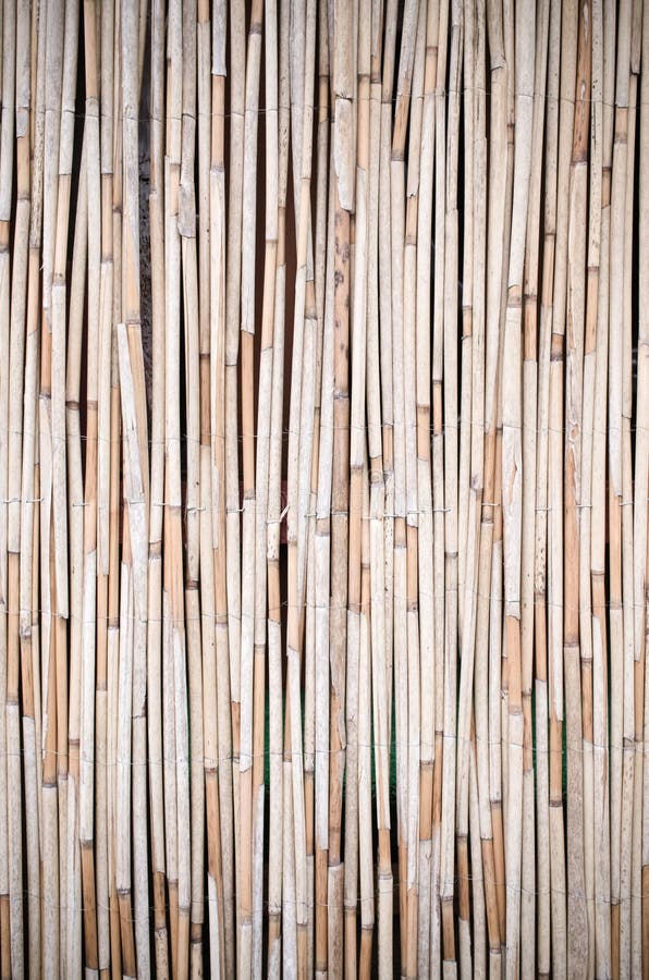 Wicker wall texture stock photo. Image of stick, basket - 21950932