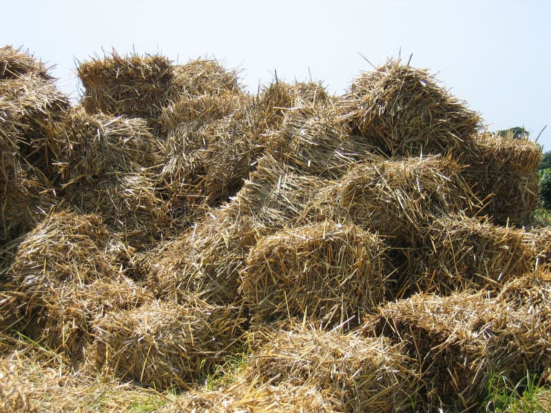 Straw mountain stock photo. Image of stacks, farms, bails - 9494
