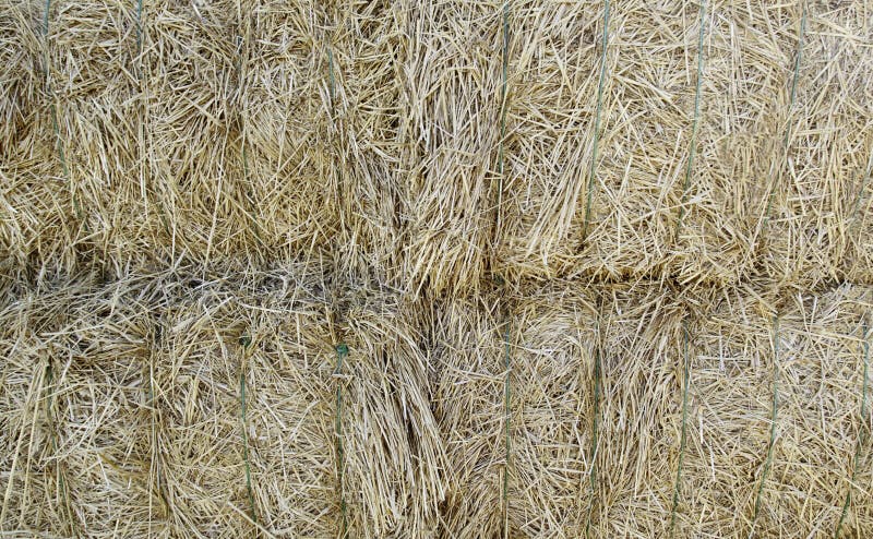 Straw Mountain stock photo. Image of farming, straw, farm - 25797528