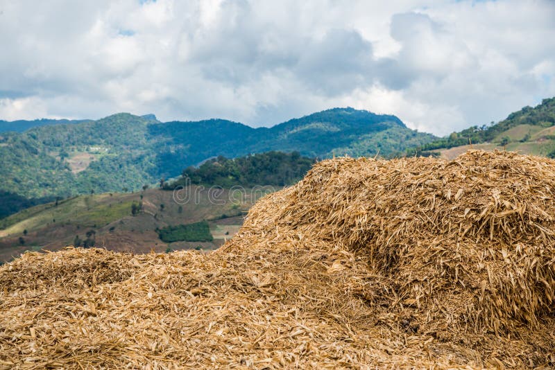 Straw with mountain view stock photo. Image of nature - 187857266