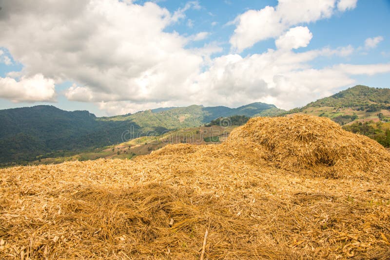 Straw with mountain view stock photo. Image of nature - 187857266