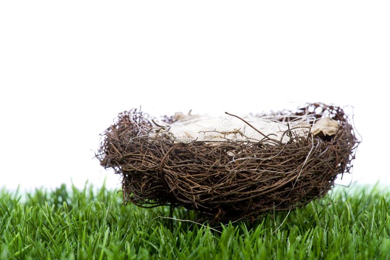Straw nest stock image. Image of green, bird, baby, care - 8485897