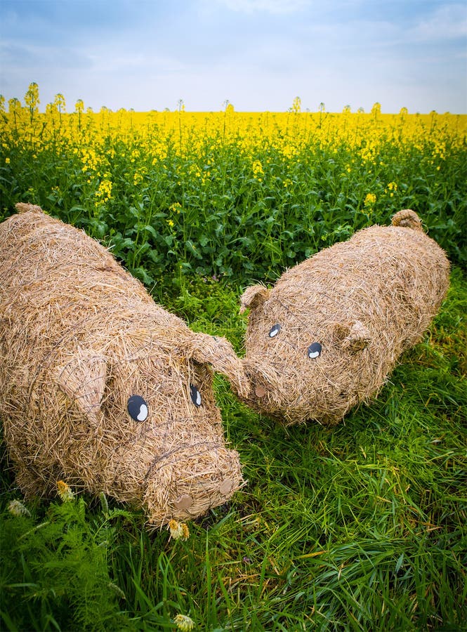 Straw pig stock image. Image of culture, rural, countryside - 68786085