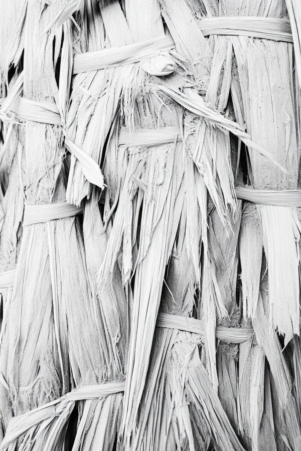 Straw pile stock photo. Image of straw, natural, texture - 373367010