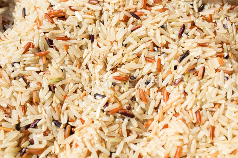 Rice straw stock image. Image of straw, harvest, farmer - 35631703