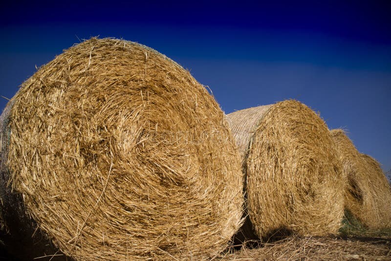 Straw pressed for animals stock photo. Image of summer - 98029008