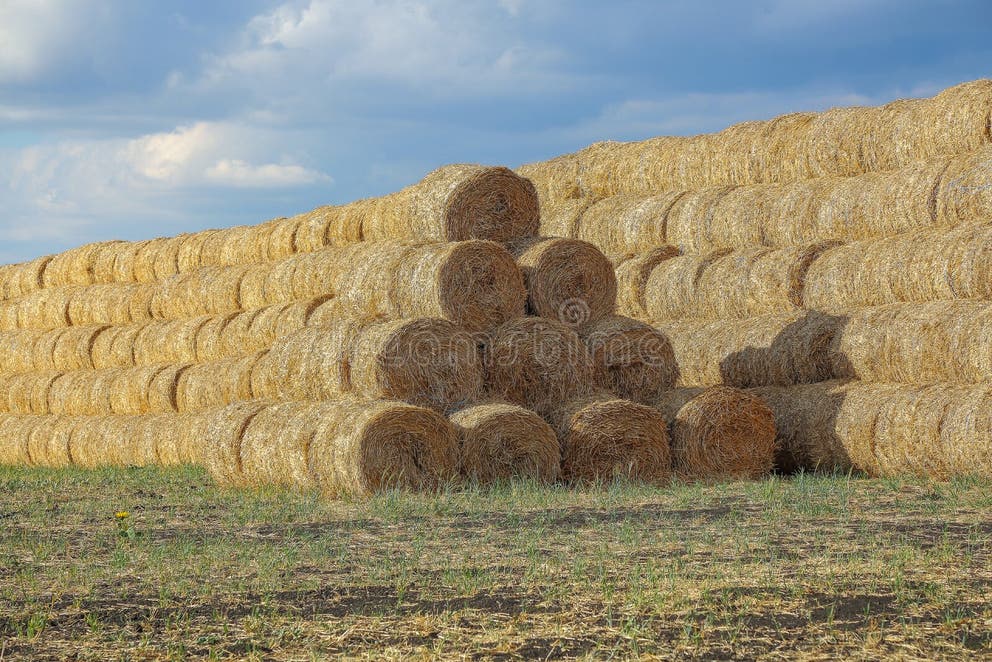Straw Pyramid stock image. Image of bright, brown, farm - 77739391