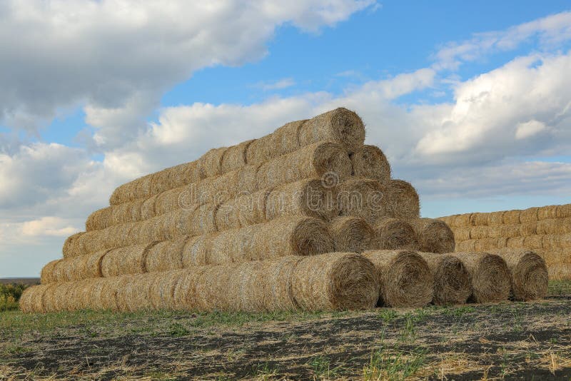 Straw Pyramid stock photo. Image of bale, color, golden - 77739570