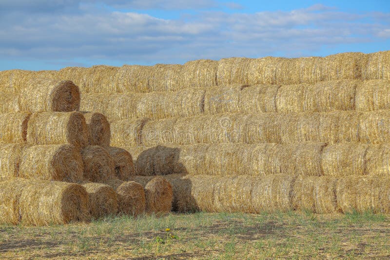 Straw Pyramid stock photo. Image of growth, cereal, barley - 77739646