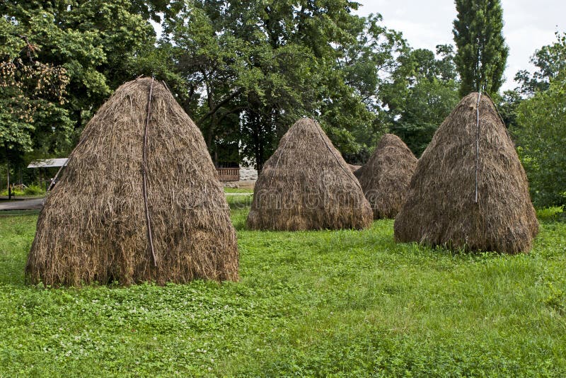 Straw Rack on a Countryside Backyard Stock Photo - Image of cereals ...