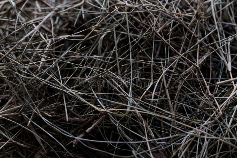 Straw on the road side stock photo. Image of summer, hole - 49218862