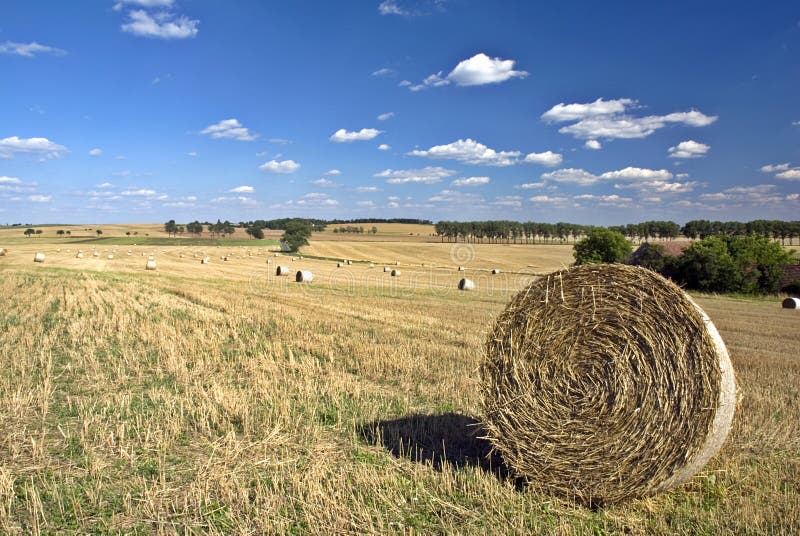 Straw roll stock image. Image of cereal, grain, grow, nature - 2906731