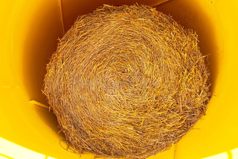 Straw roll stock photo. Image of yellow, grass, roll - 32683522