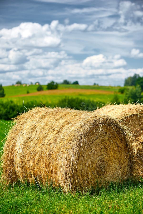 Straw Roll on a Green Field with a Beautiful Sky Stock Photo - Image of ...