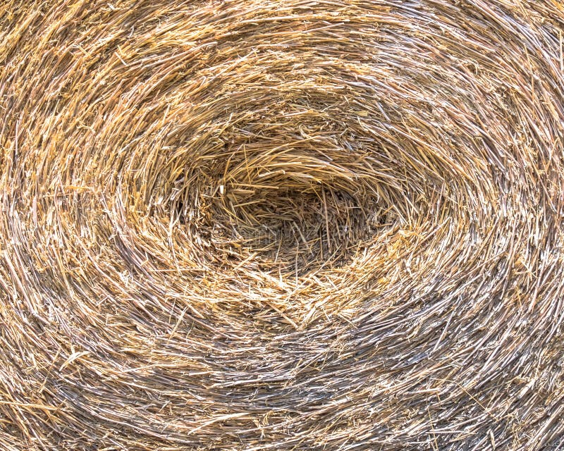 Straw roll stock photo. Image of harvest, bale, straw - 78791984