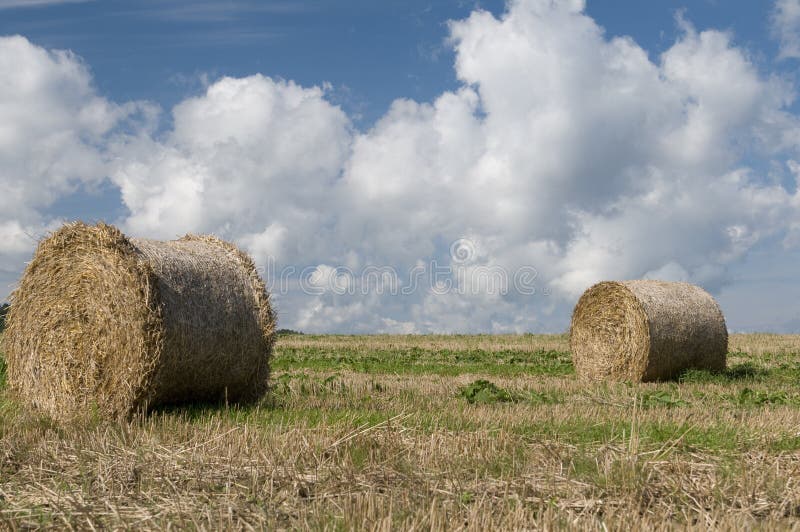 Straw rolls stock photo. Image of roll, agriculture, field - 15899388