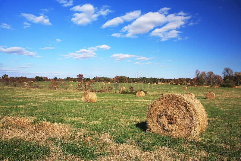 Straw Rolls stock image. Image of barley, landscape, bale - 7691203