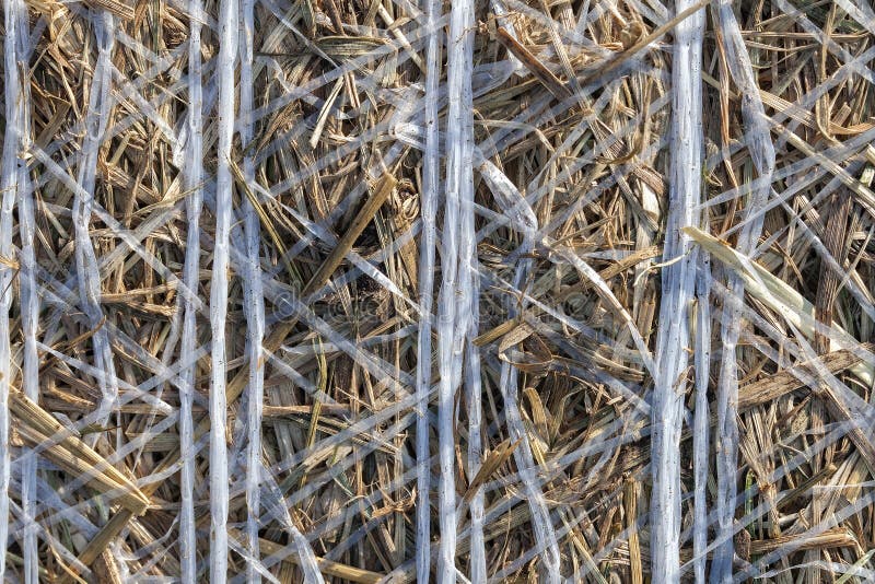Straw roller shade stock image. Image of straws, roll - 10889557