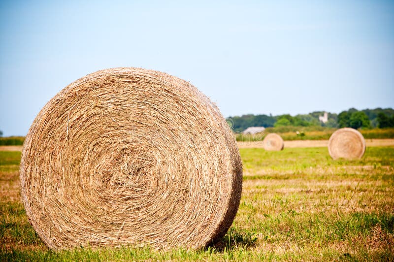 Straw Rolls on Farmer Field Stock Image - Image of grass, horizon: 15912625