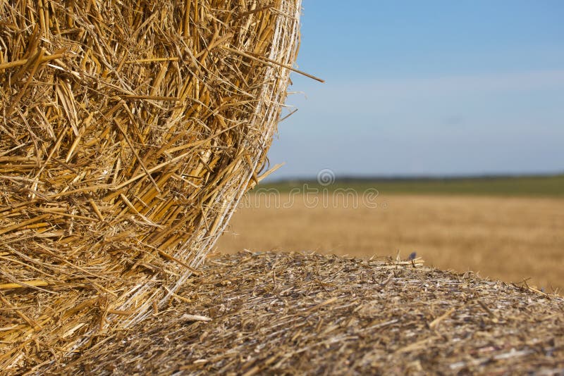 Straw Rolls, Stacked in a Pyramid. Close-up Shot Stock Image - Image of ...