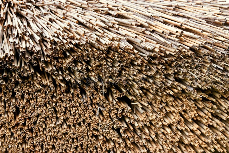 Texture of Straw Roof stock photo. Image of reed, real - 13675446