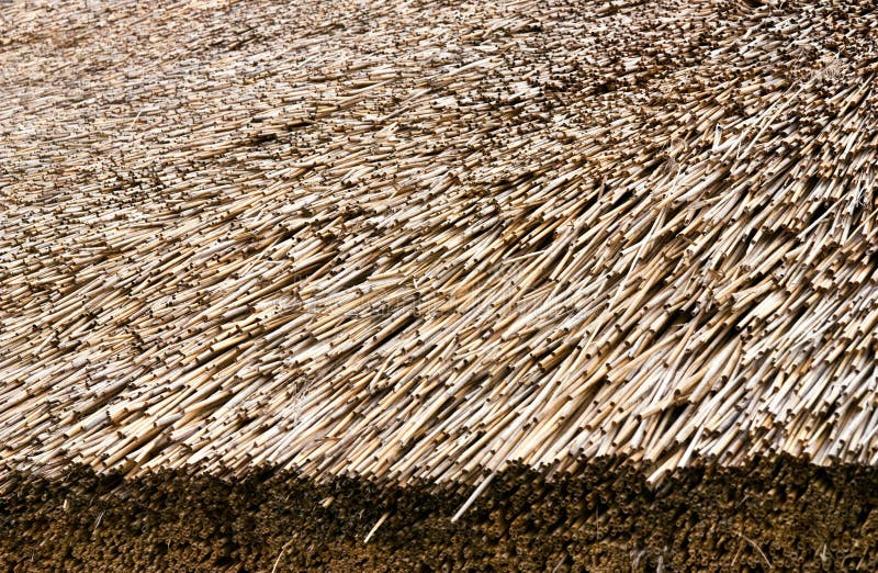 Texture of Straw Roof stock photo. Image of reed, real - 13675446