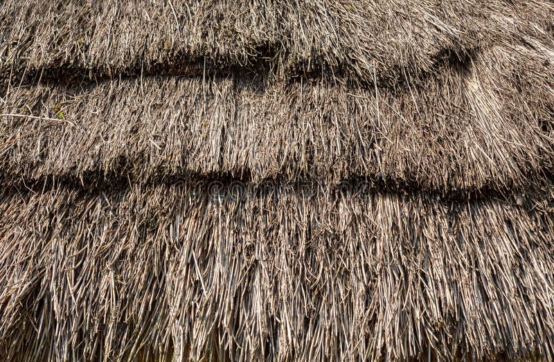 655 Dried Grass Roof Texture Stock Photos - Free & Royalty-Free Stock ...