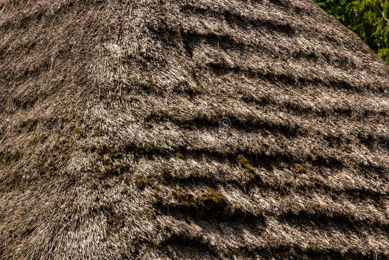 Straw Roof Texture. Grasses Thatch Roof Background Texture. Roof ...