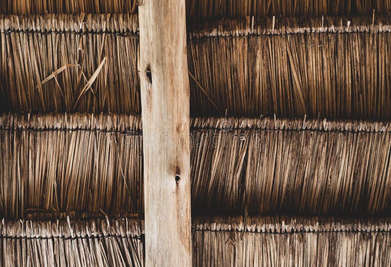 Straw roof texture stock image. Image of rough, floor - 146291701