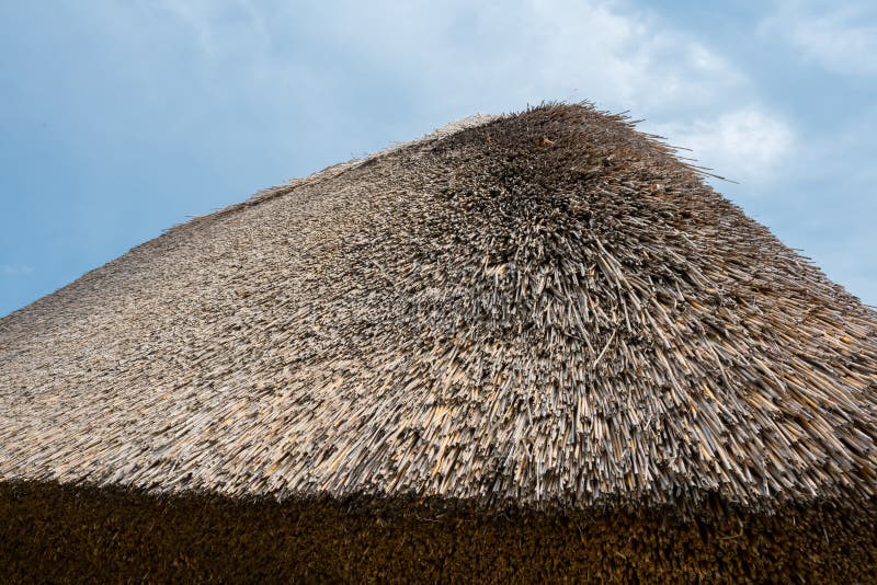 Straw Roof of the Traditional Hut. Thatched Roof Against the Sky Stock ...
