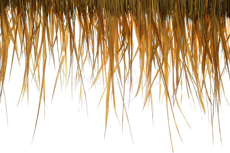Straw roof stock image. Image of textured, nature, architecture - 37426889