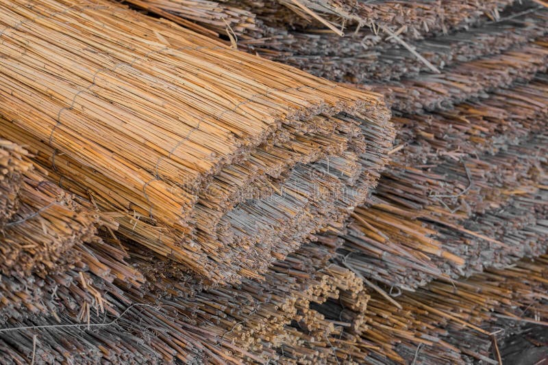Straw Rope Dry Reed Natural Material is Stored in Rolls Stock Photo ...