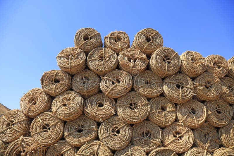 Straw rope piled up stock image. Image of rope, straw - 386040665