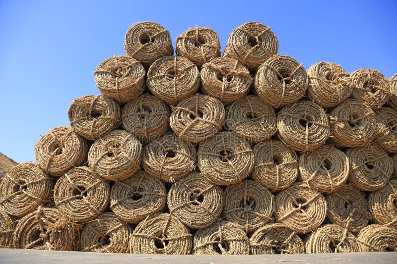 Straw rope piled up stock image. Image of tool, harvest - 386220223