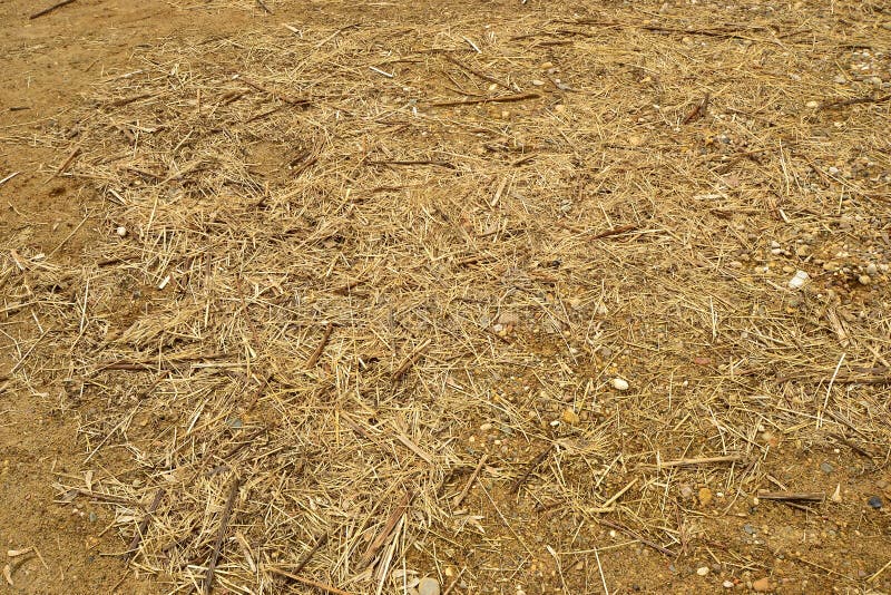 Straw, sand and stones stock photo. Image of background - 133423998