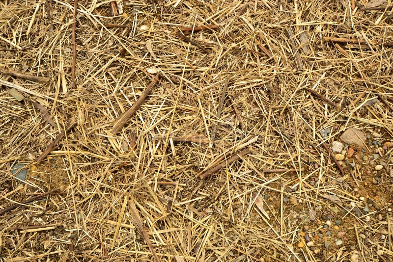 Straw, sand and stones stock image. Image of pattern - 133424003
