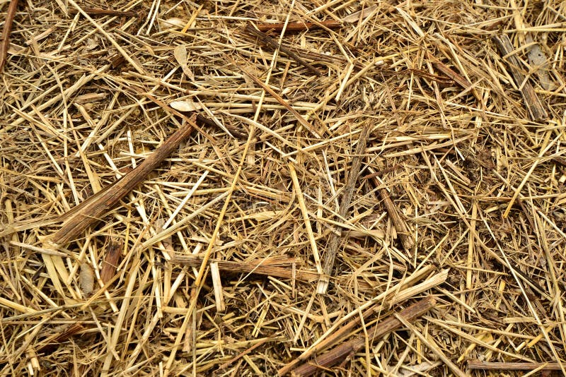 Straw, sand and stones stock image. Image of stones - 133424027