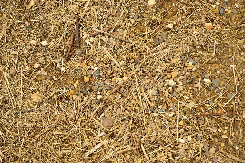 Straw, sand and stones stock image. Image of texture - 133424077