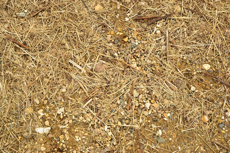 Straw, sand and stones stock image. Image of grass, texture - 133424079
