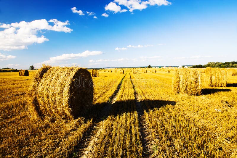 Straw stack stock photo. Image of autumn, barley, landscape - 27056658